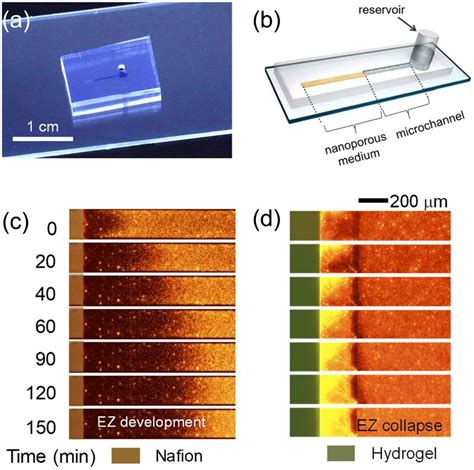 A The Photo Of An Assembled Microfluidic Chip And B The Schematics
