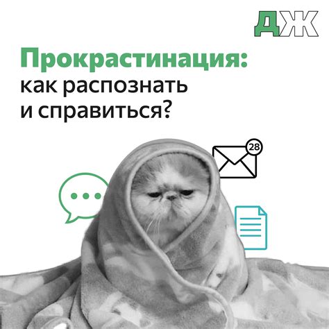 Прокрастинация как распознать и справиться — Teletype