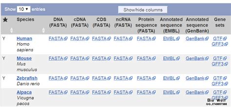 ensembl gene id转换成gene symbol id 生信自学网