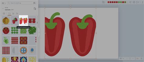 SVG Import Help Center