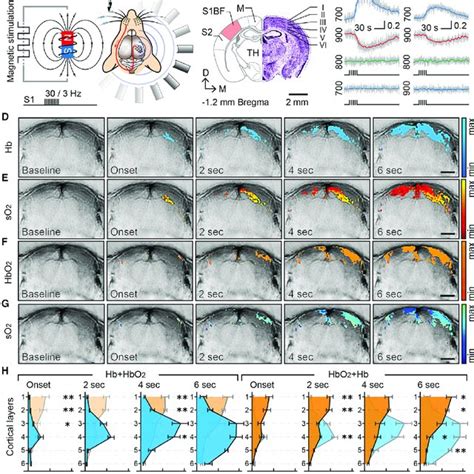 PRISMA Flow Diagram Download Scientific Diagram PRISMA Flow Diagram Download Scientific Diagram