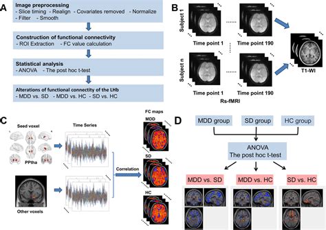 The Study Design And Main Procedures A The Overview Of The Study Download Scientific Diagram The Study Design And Main Procedures A The Overview Of The Study Download Scientific Diagram