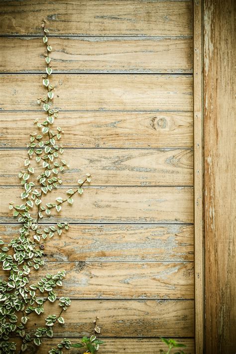 Rustic Farmhouse Background