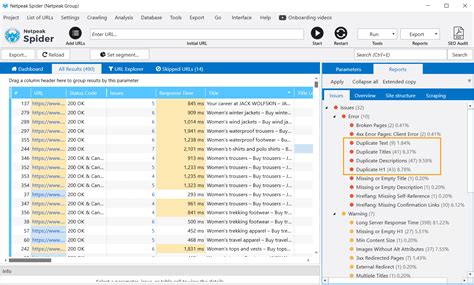 Wordpress Seo Duplicate Content And Canonical Issues Netpeak
