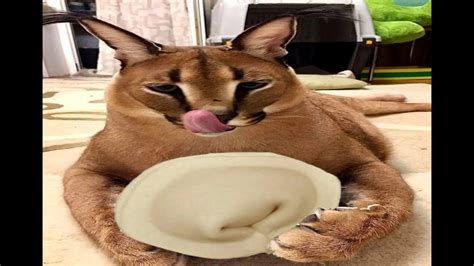 выживание в маенкрафте Part 1 Youtube