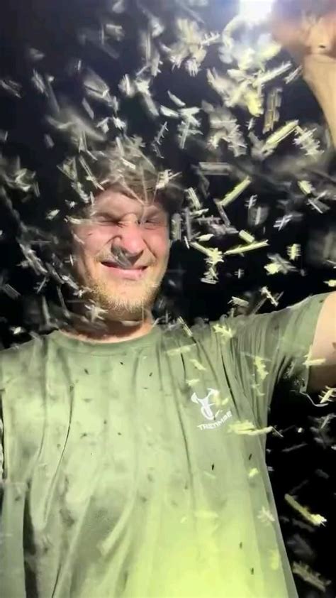 All I Want For Christmas Is That 20 Foot Python Animal Memes Pretty