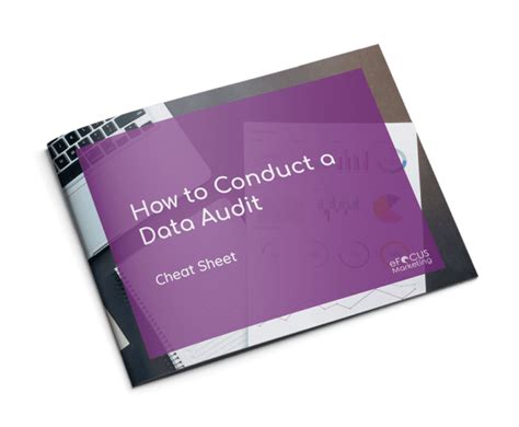 How To Conduct A Data Audit EFocus Marketing