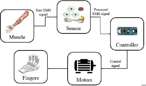 Figure 1 From Design Of A 3d Prosthetic Hand Based On Electromyogram Signals Semantic Scholar