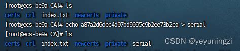 centos 使用openssl 配置证书服务器并颁发证书史上最详细版本 centos openssl CSDN博客