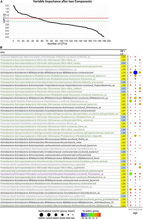 Pls 5 Age Equivalent Chart A Visual Reference Of Charts Chart Master