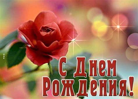 Загадочная открытка с розой С днем Рождения Скачать бесплатно на