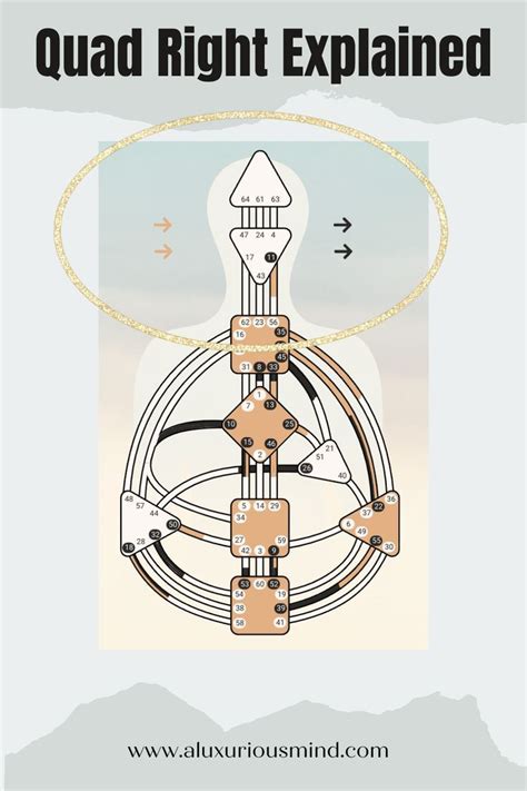 Quad Left Explained Artofit