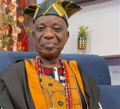 Yemi Ogunyemi Biography Education Career Controversies And Death