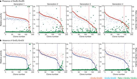Mutation Accumulation Hypothesis