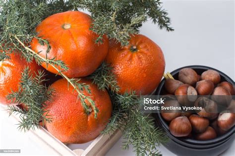 새해 감귤은 전나무 가지와 나무 상자에있다 연말연시 간식 0명에 대한 스톡 사진 및 기타 이미지 0명 가문비나무 감귤 Istock