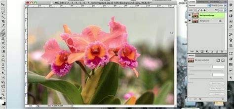 How To Create A Depth Of Field Effect In Adobe Photoshop Photoshop WonderHowTo