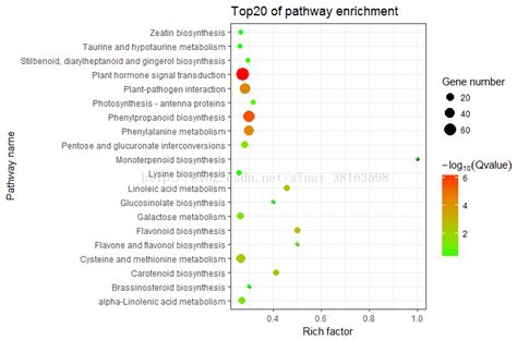 R语言ggplot2绘图教程——pathway富集分析气泡图 王进的个人网站 R语言ggplot2绘图教程——pathway富集分析气泡图 王进的个人网站