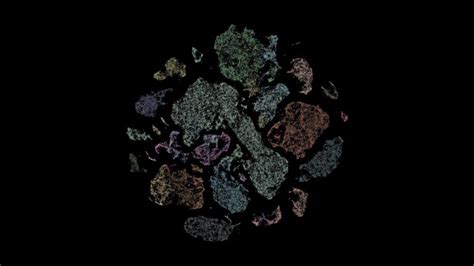 Human Cell Types Allen Institute