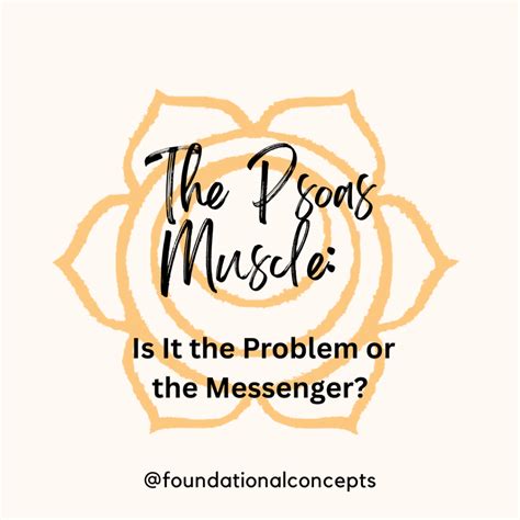 The Diaphragm Pelvic Floor Muscles The Key To Core Stability Foundational Concepts