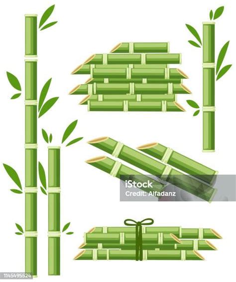 설탕 식물 농업 작물 잎이 있는 사탕수수 달콤한 음식과 디저트에 대 한 성분 흰색 배경에 고립 된 평면 벡터 일러스트 레이 션 갈색에 대한 스톡 벡터 아트 및 기타 이미지