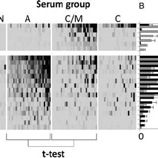 Protein Microarray Exon Products That Discriminate Between A And C M Download Scientific