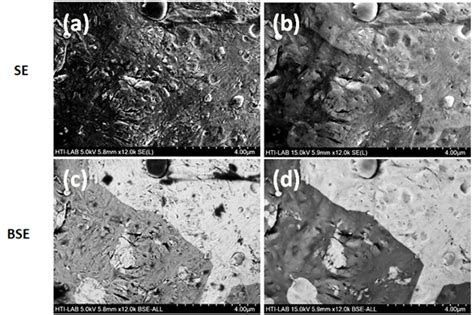 In Sem Imaging Why There Shows Composition Contrast Even I Am Using Se