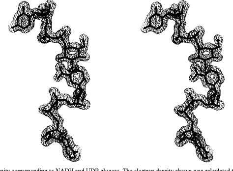 Figure 1 From Molecular Structure Of The Nadh Udp Glucose Abortive