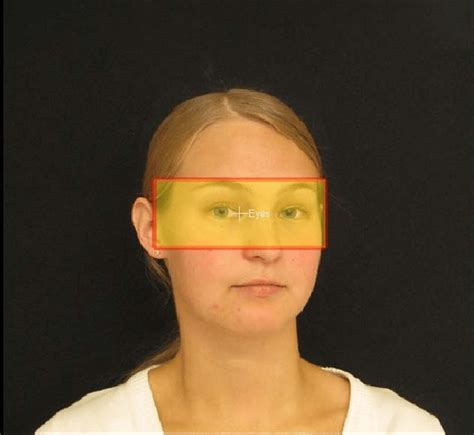 area of interest aoi for the eye region download scientific diagram