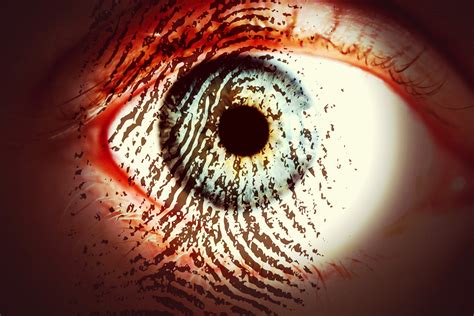 Osint Framework Qué Es Y Cómo Usar Esta Herramienta