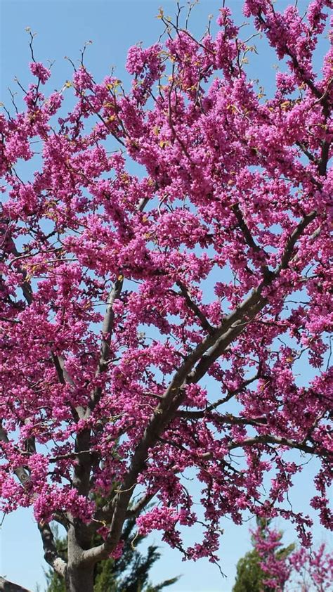 Sex Secrets 7 Secrets About Sex Women Want Men To Know Times Of India