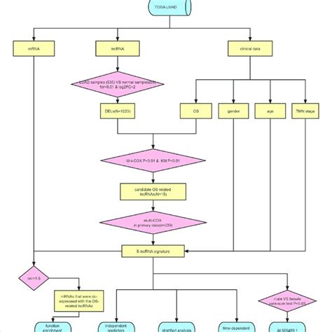 Flowchart Depicting The Study Protocol Download Scientific Diagram