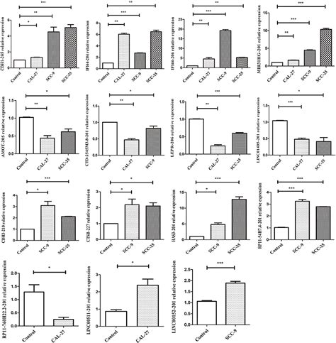 frontiers analysis of differentially expressed long non coding rnas