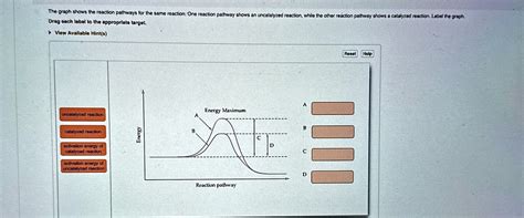 The Graph Shows The Reaction Pathways For The Same Reaction One Reaction Pathway Shows An