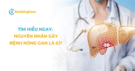 Tìm Hiểu Ngay Nguyên Nhân Gây Nóng Gan Là Gì