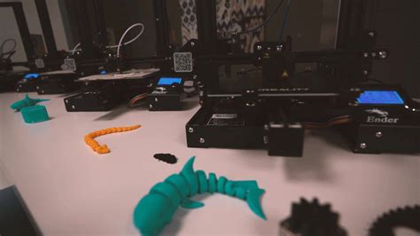 Coding Sharks Jacksonville Fl