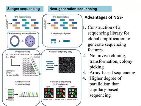 Next Generation Sequencing Pptx
