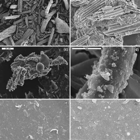 Particle Size Distribution Of Disk Refining Dr Bagasse Residues