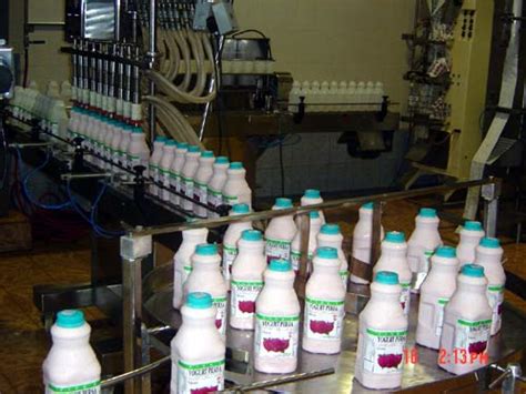 DiseÑo Y Desarrollo De Procesos Proceso De Elaboracion De Yogurt