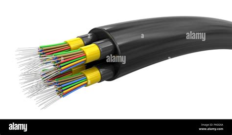 Fiber Optic Cable Cut