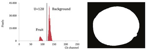 A Histogram OF A Threshold Segmentation And B Resulting Image Download Scientific Diagram