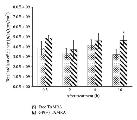ex vivo fluorescence imaging of the eyes of rabbits treated with