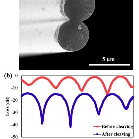 Schematics Of A A 2x2 Optical Fiber Directional Coupler And B A Download Scientific Diagram