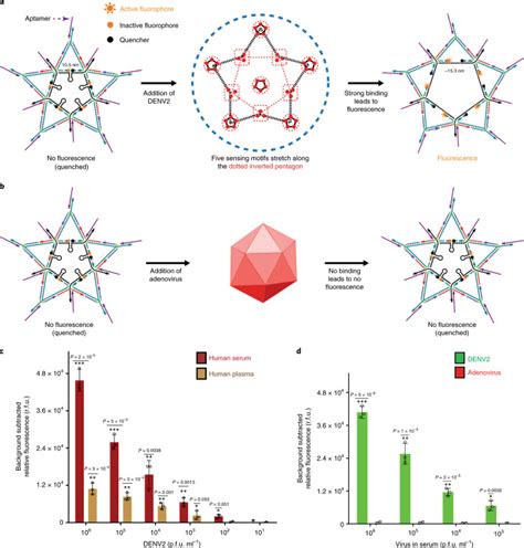 Designer Dna Architecture Offers Precise And Multivalent Spatial Pattern Recognition For Viral