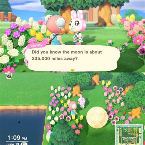 25 Funny Animal Crossing Memes That Blathers Probably Doesnt Want