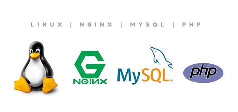 Lamp Vs Lemp Stack Whats The Difference Pondywebhosting1