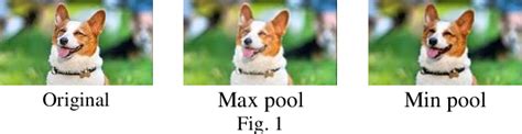 Figure 1 From A Novel Lightweight Convolutional Neural Network