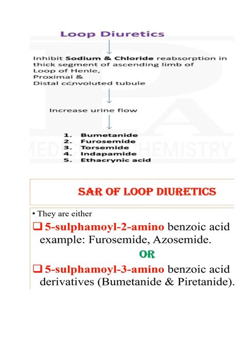 Sar Of Loop Diuretics Sar Pharmacy Furosemide Studocu