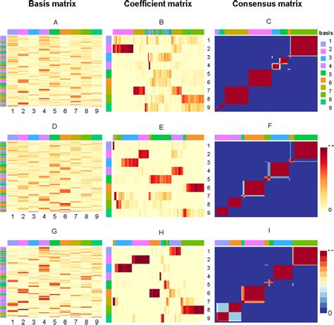 Factorizing Matrices W Basis Matrix A D G H Coefficient Matrix