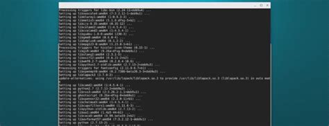 How To Install Linux Apps On Chrome OS