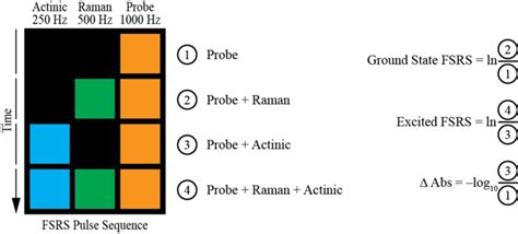 8 The Pulse Timing Sequence For FSRS Detection A Block Diagram Download Scientific Diagram